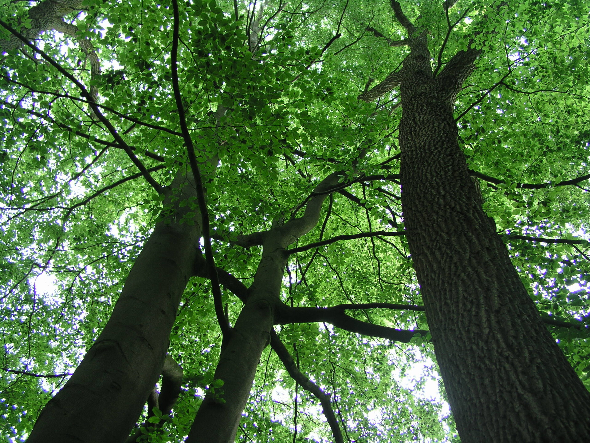 Ergebnisse der Beschränkten Ausschreibung/Verhandlungsvergabe (UVgO ...