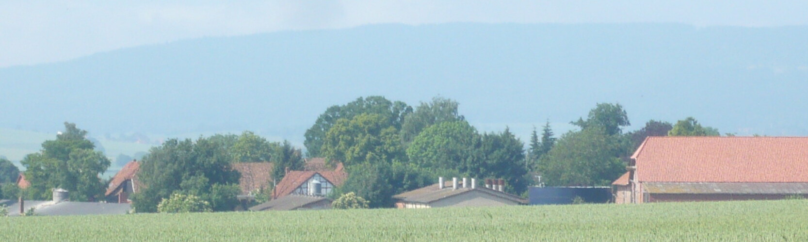 Den Nährstoffentzug von Stroh richtig bewerten : Landwirtschaftskammer ...